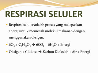 Respirasi seluler-1286107109-phpapp02 | PPTX