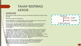 respirasiaerob-150510152708-lva1-app6891 | PPT