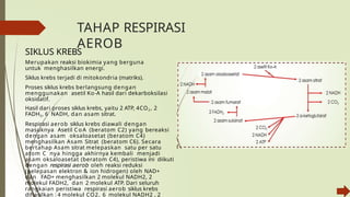 respirasiaerob-150510152708-lva1-app6891 | PPT