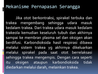 Sistem Respirasi Hewan | PPTX