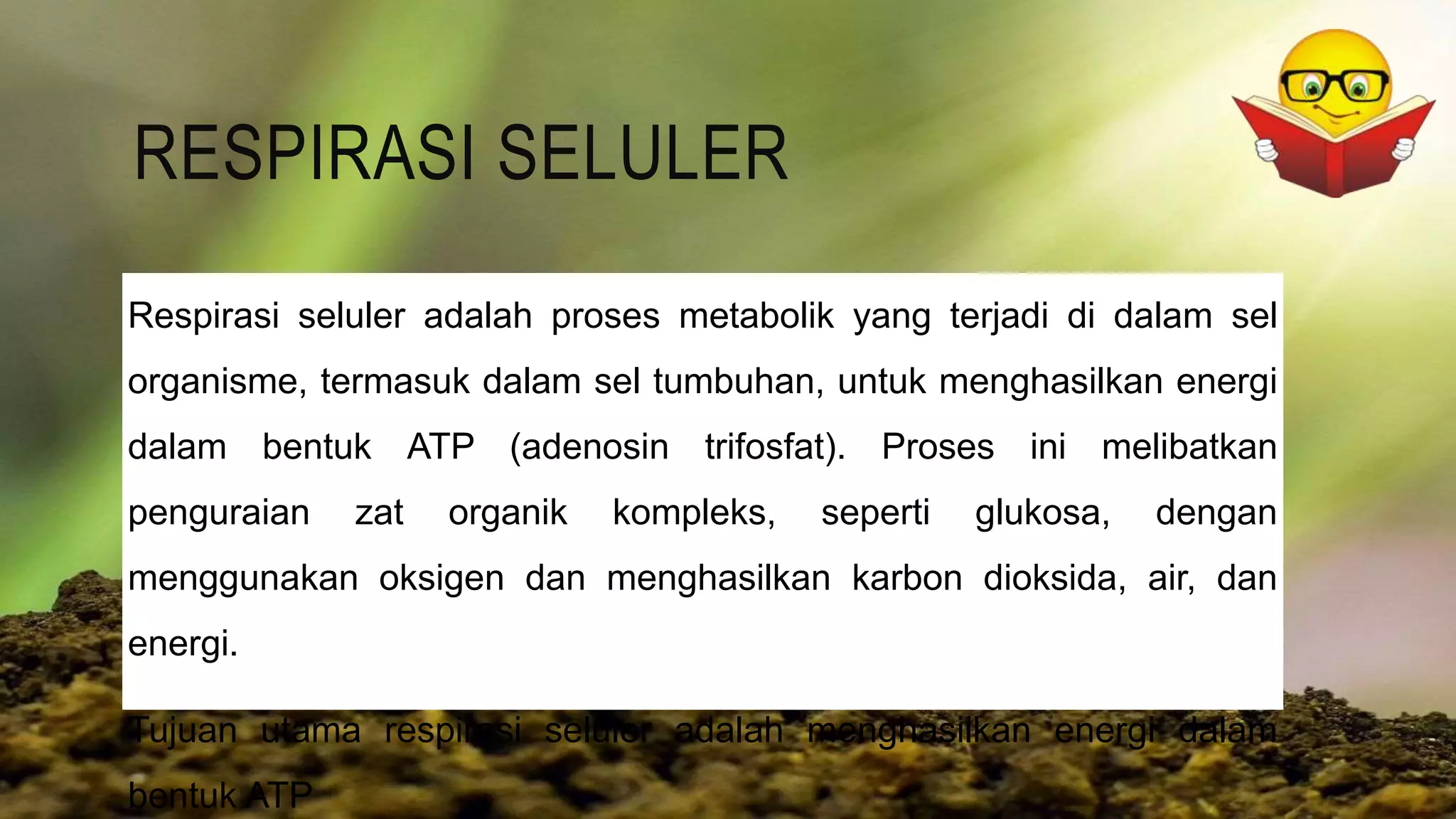 Respirasi pada tanaman.pptx