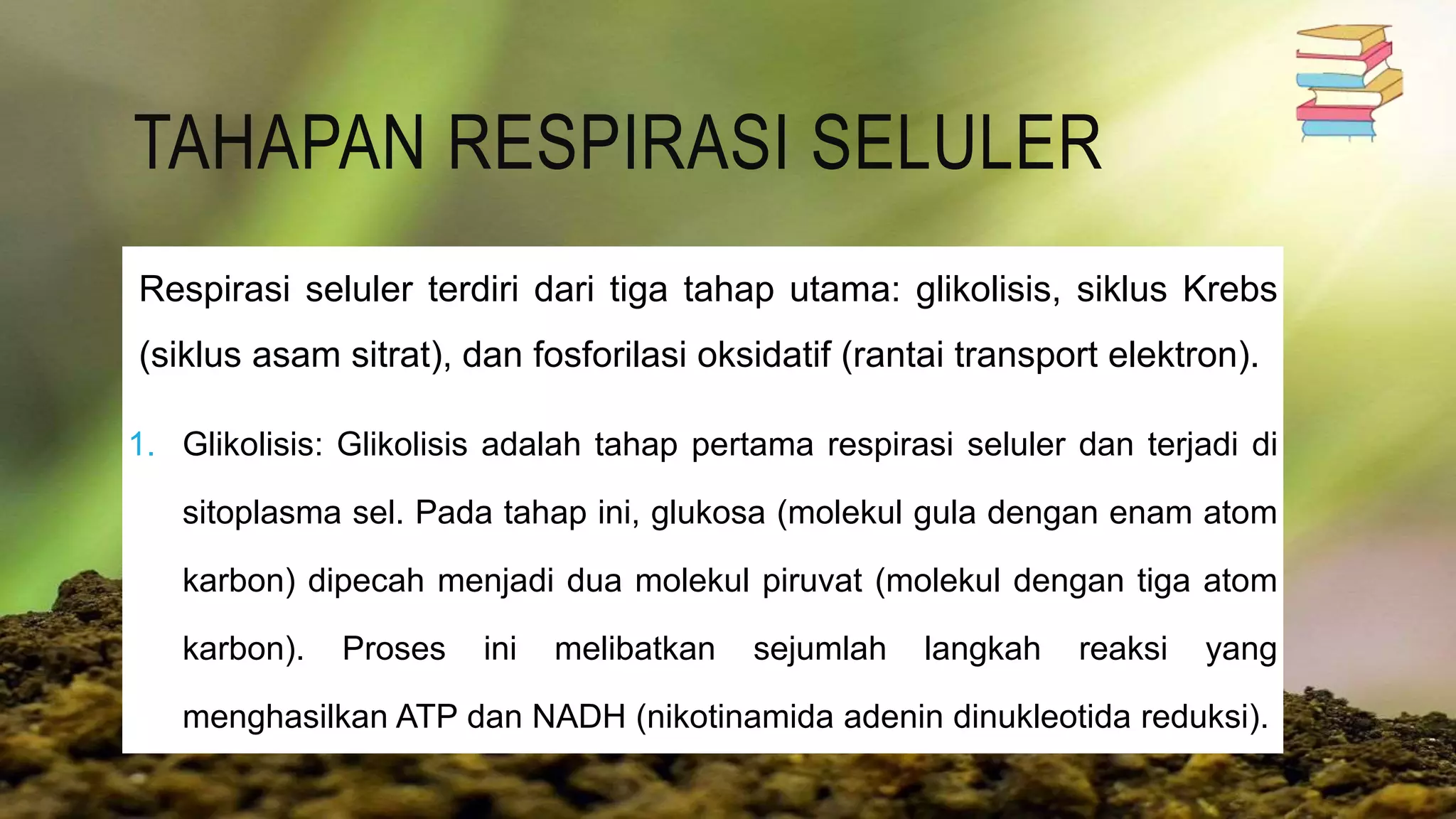 Respirasi pada tanaman.pptx