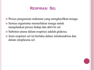 Respirasi sel | PPT