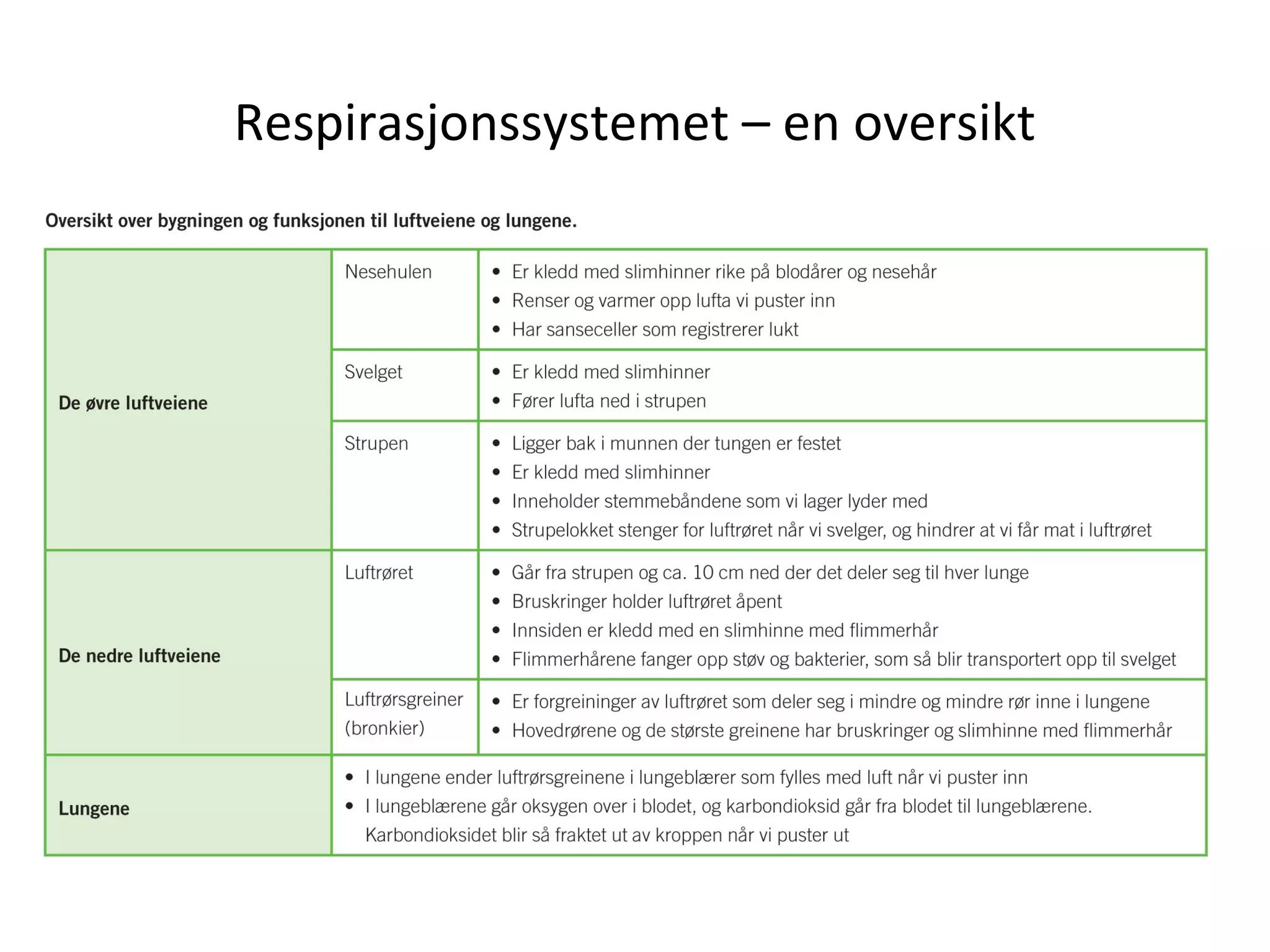 Respirasjonssystemet | PPT
