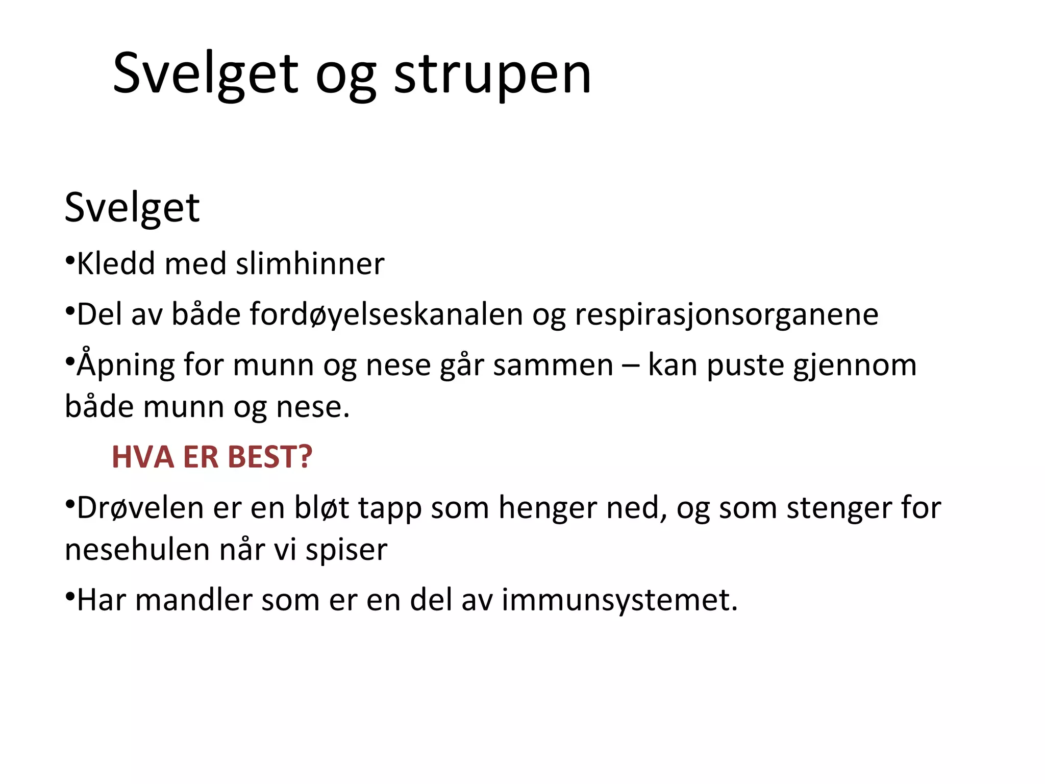 Respirasjonssystemet | PPT