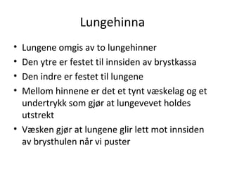 Respirasjonssystemet | PPT