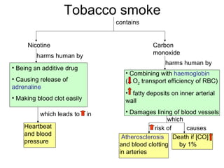 Respiration | PPT