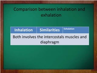 Respiration | PPTX