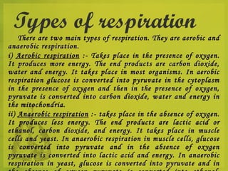 Respiration | PPT