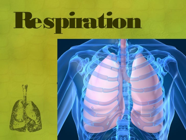 Respiration
