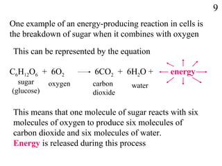 Respiration | PPT