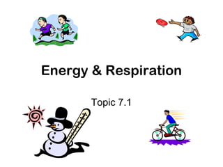Respiration | PPT