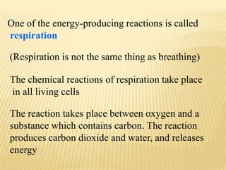 Respiration | PPT