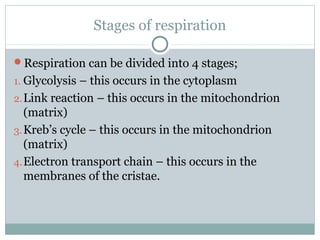 Respiration | PPT
