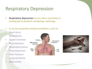 Respiration | PPT