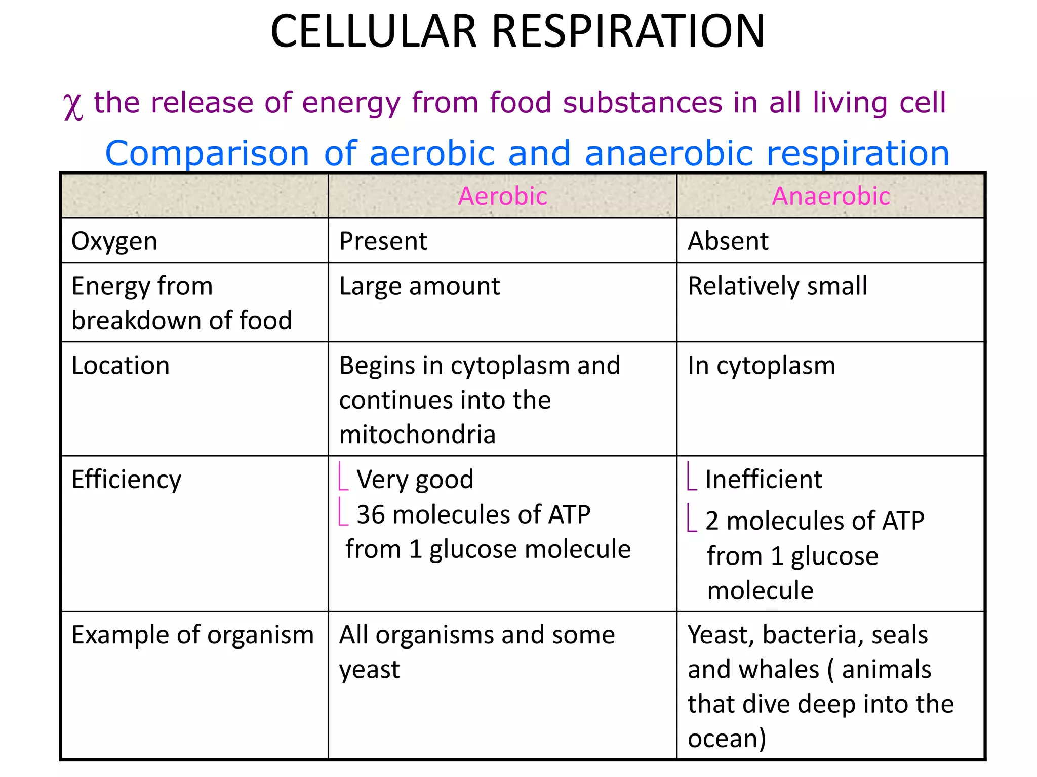 Respiration IGCSE | PPTX