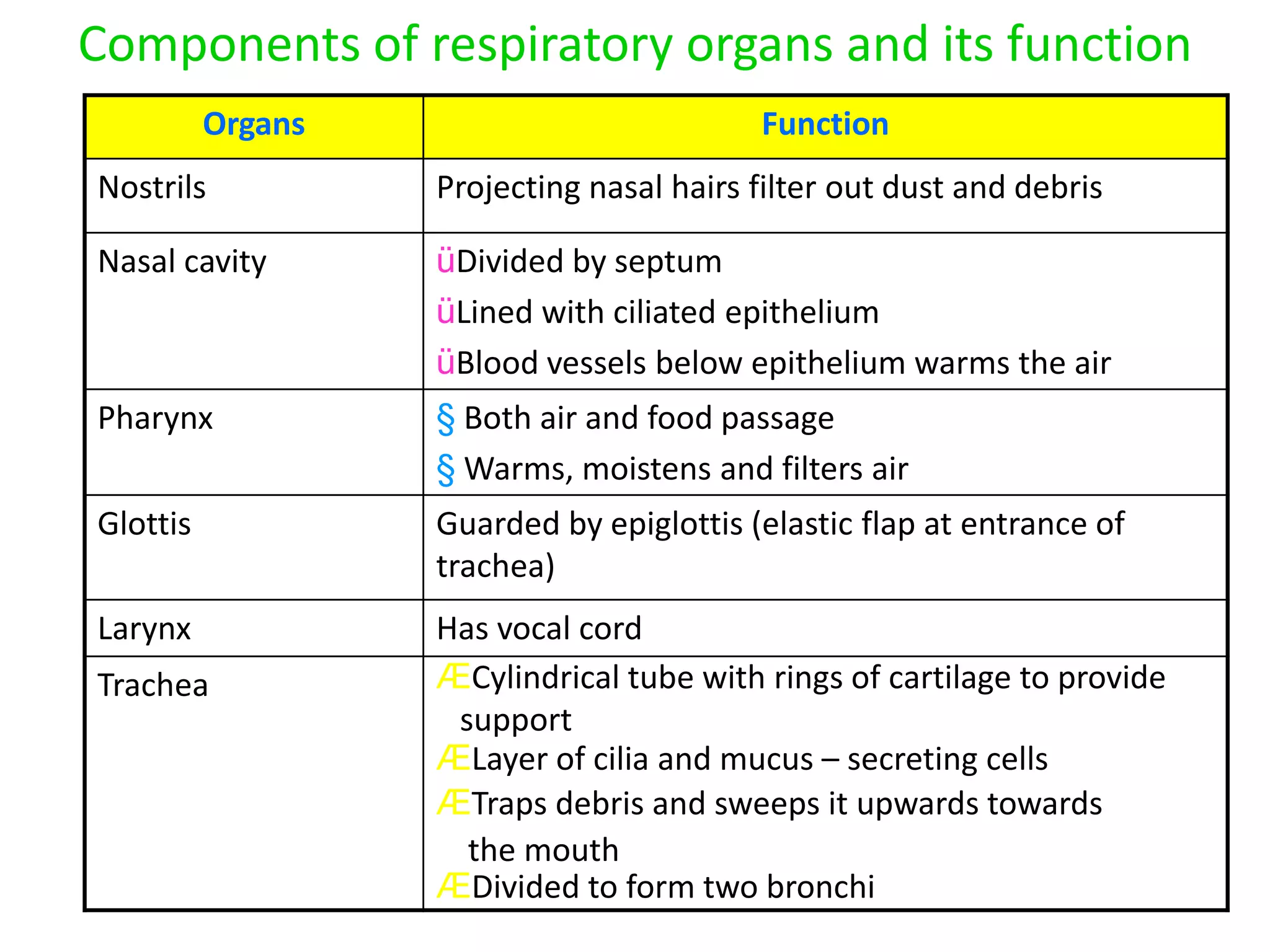 Respiration IGCSE | PPTX