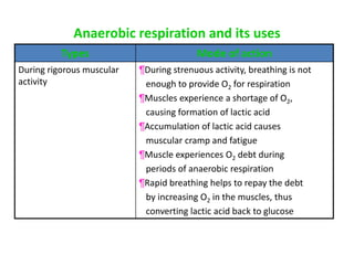 Respiration IGCSE | PPTX