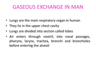 Respiration IGCSE | PPTX