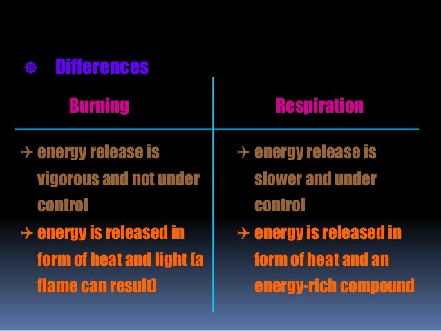 Difference between burning and combustion
