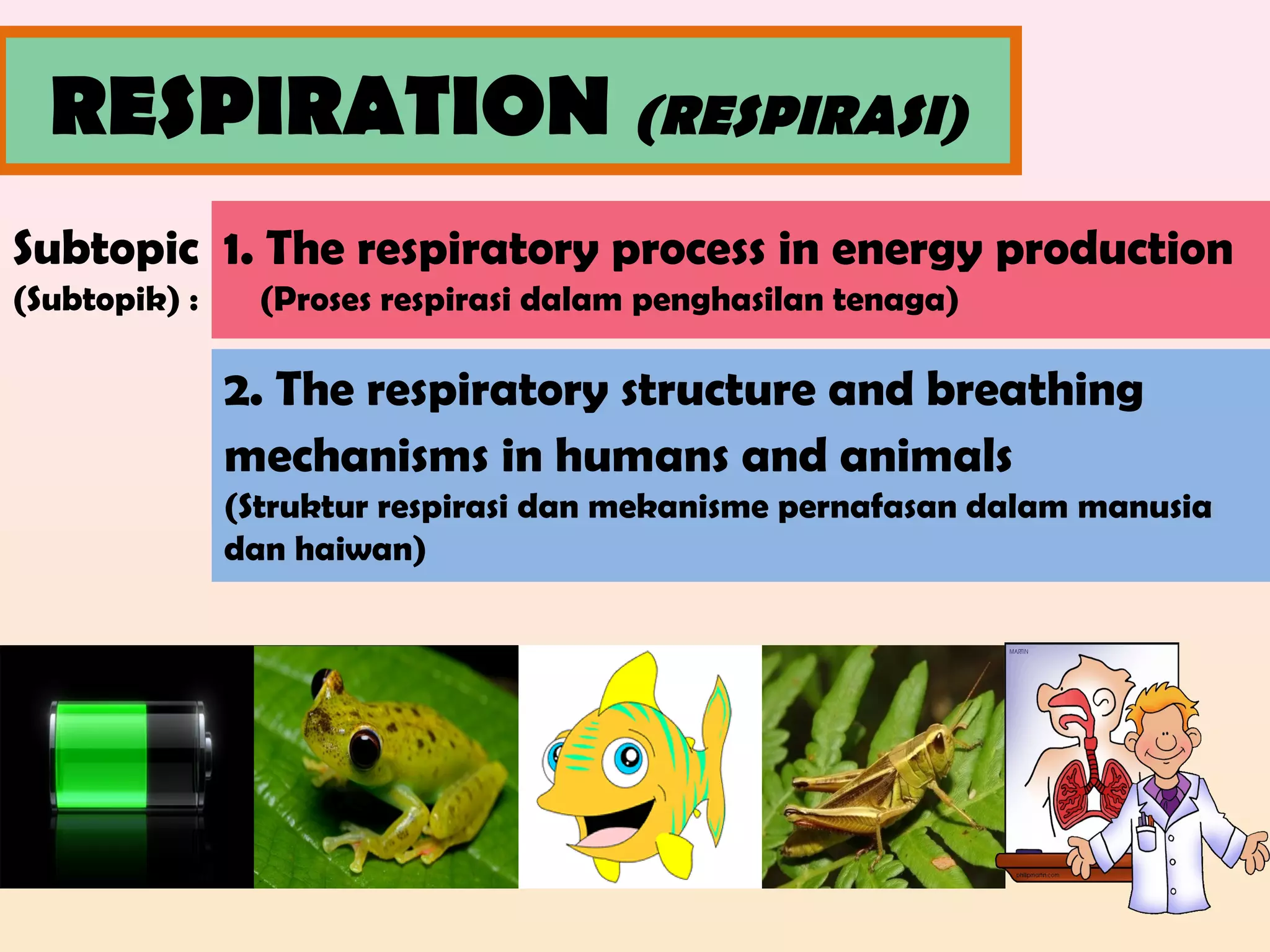 Respiration | PPT