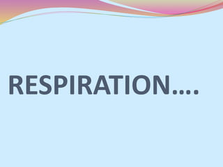 Respiration | PPTX