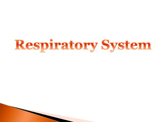 Respiration | PPTX