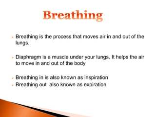Respiration | PPTX