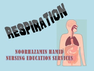 Respiration | PPT