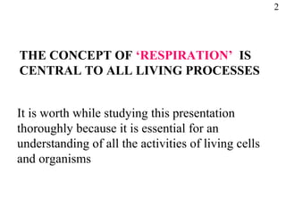 Respiration | PPT