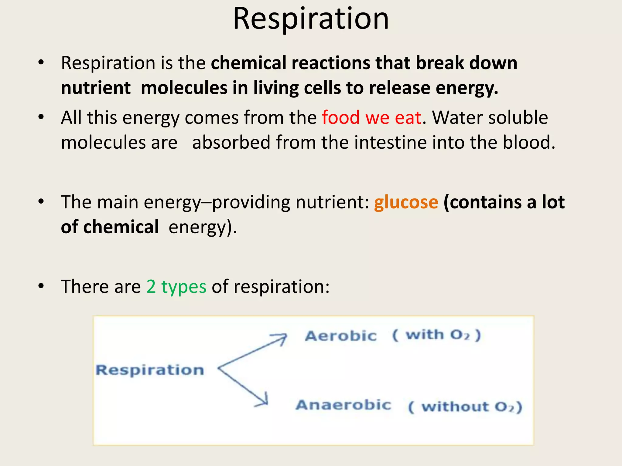 Respiration | PPTX