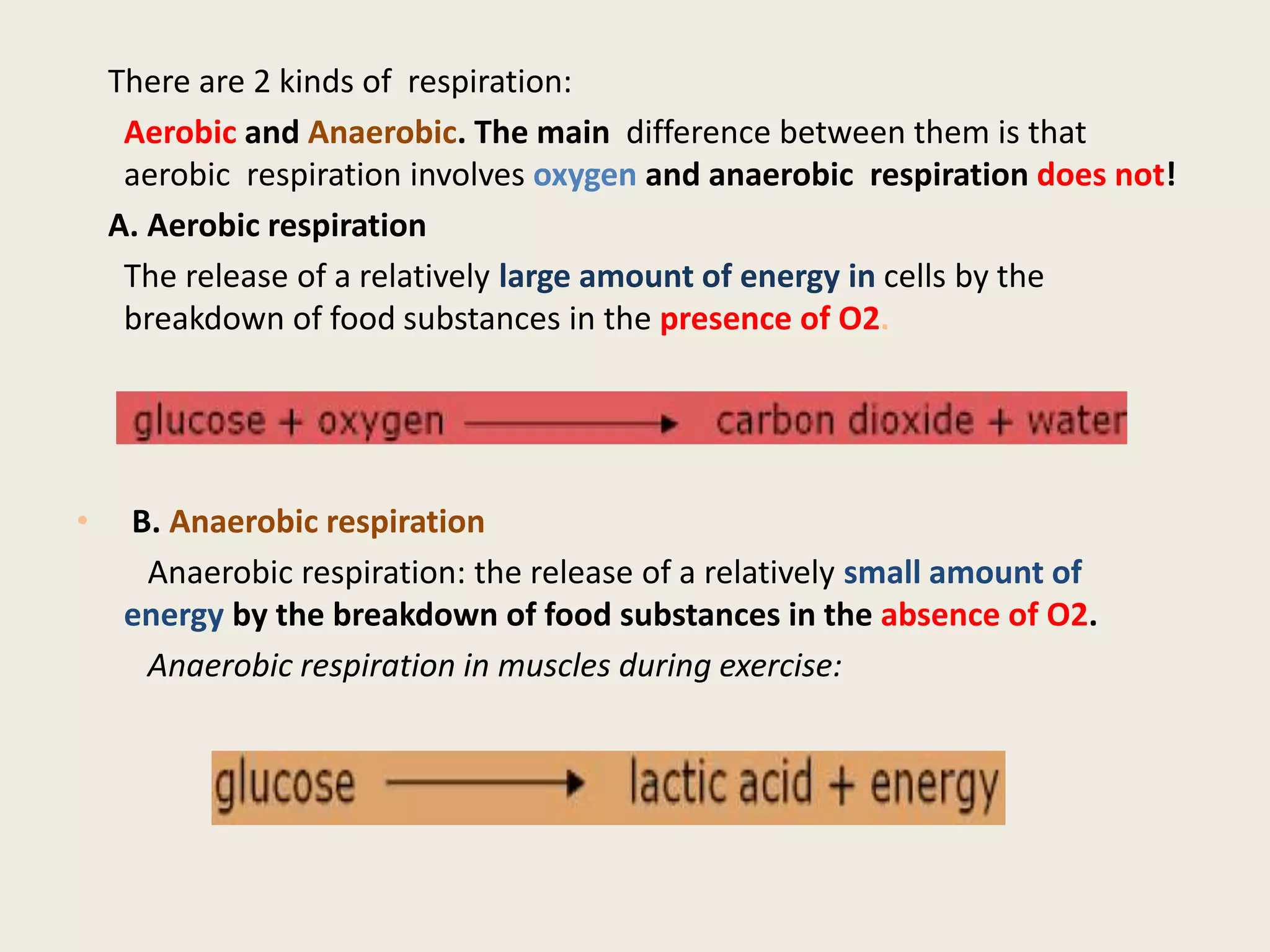 Respiration | PPTX