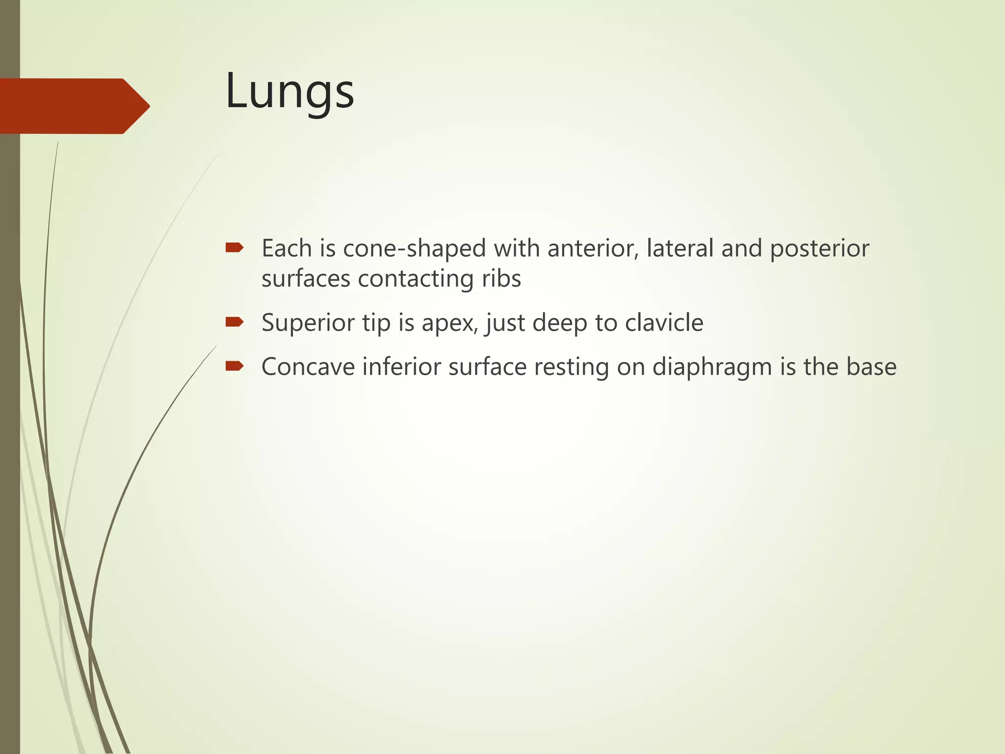 Respiration, Ventilation, Gas exchange | PPTX