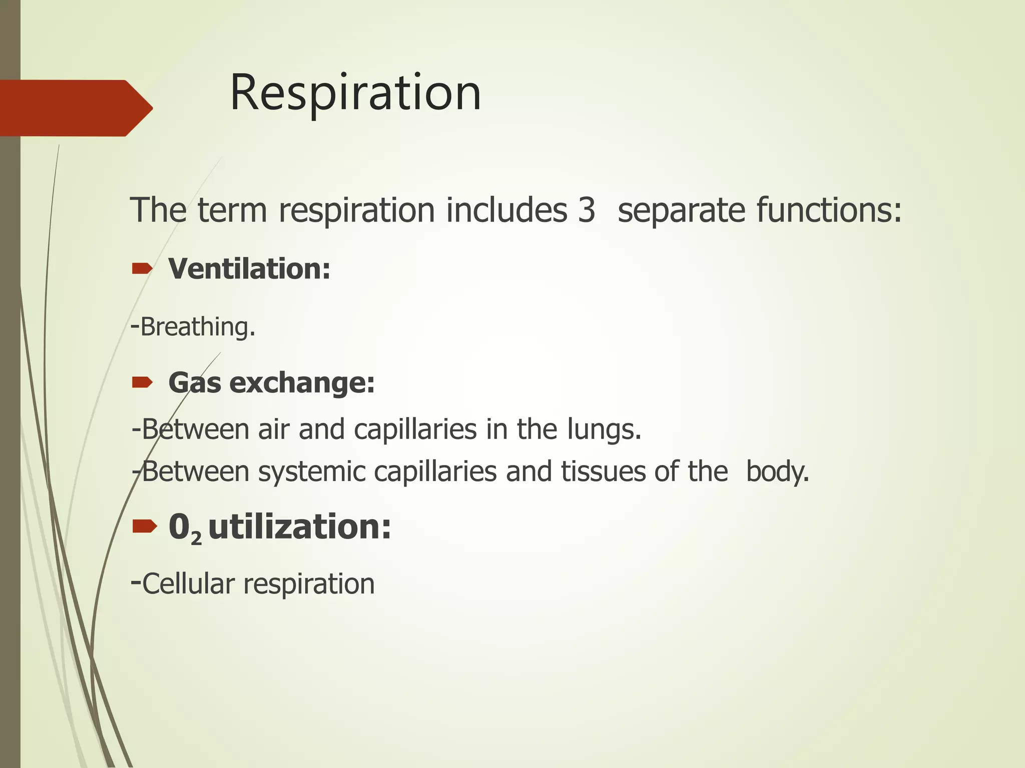 Respiration, Ventilation, Gas exchange | PPTX