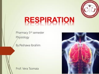 Respiration, Ventilation, Gas exchange | PPTX