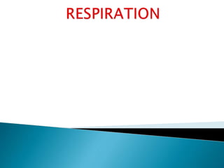 Respiration | PPT
