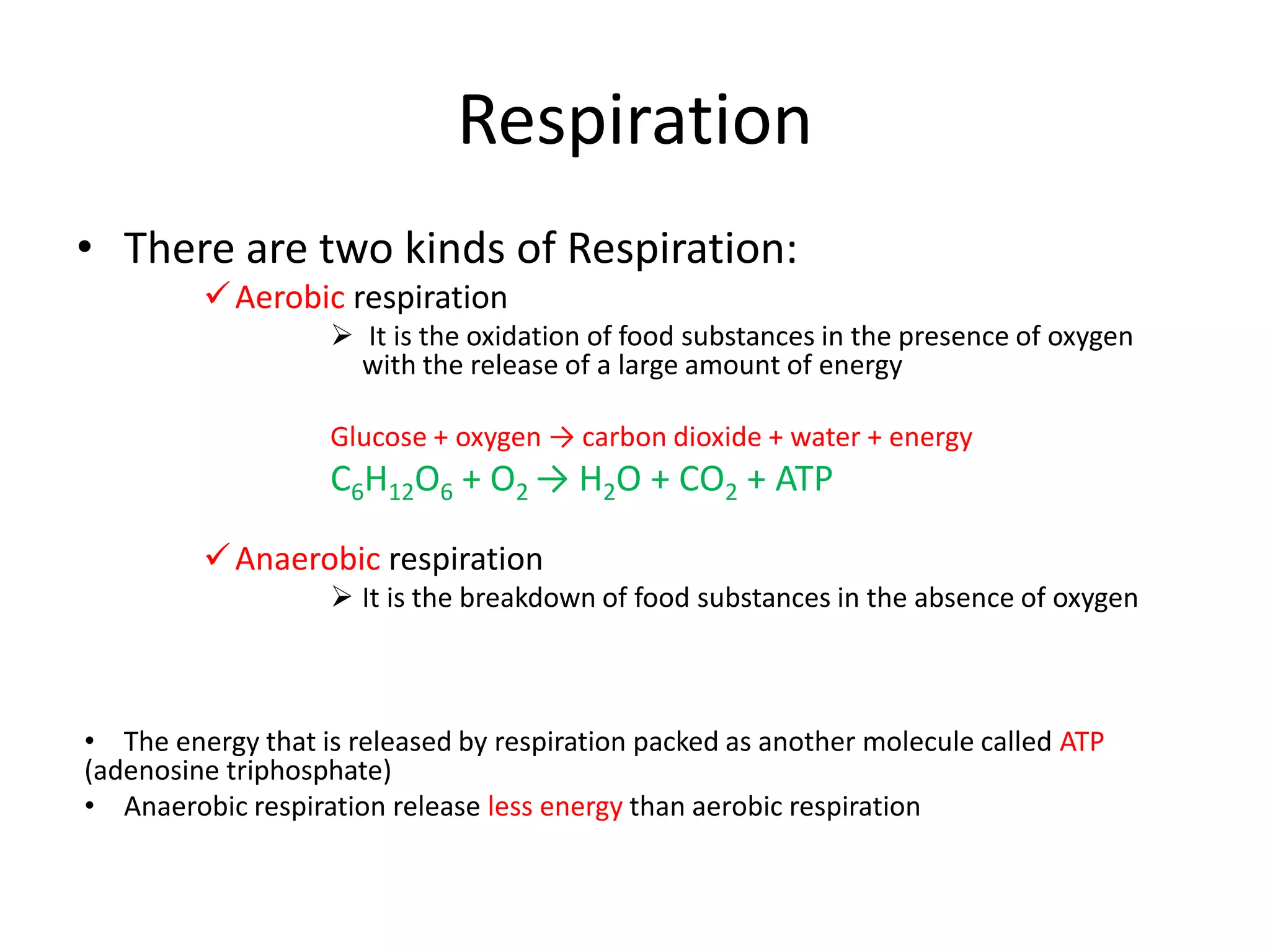 Respiration | PPTX