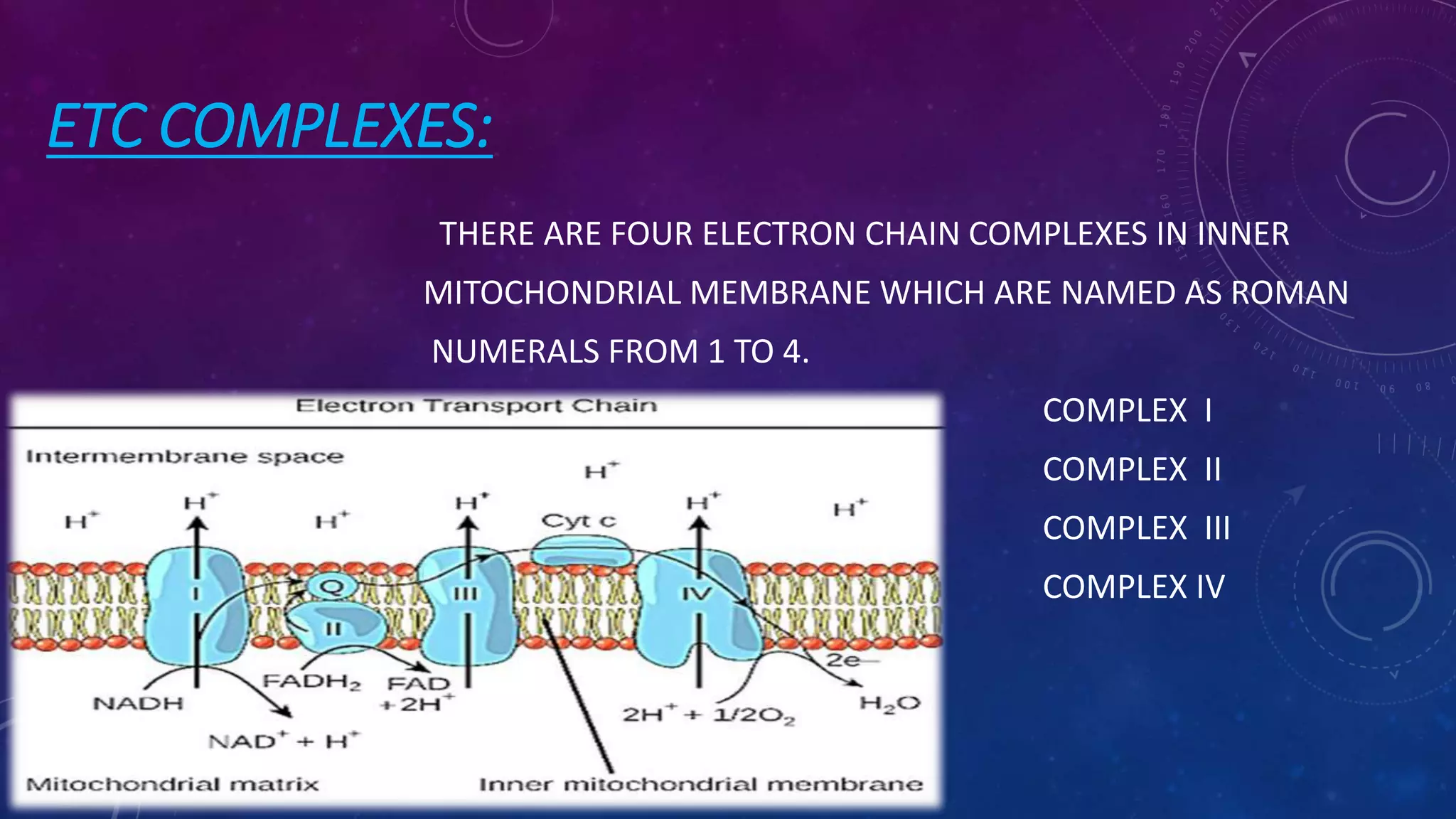 Cellular Respiration Glycolysis, Krebs cycle, Electron Transport | PPTX