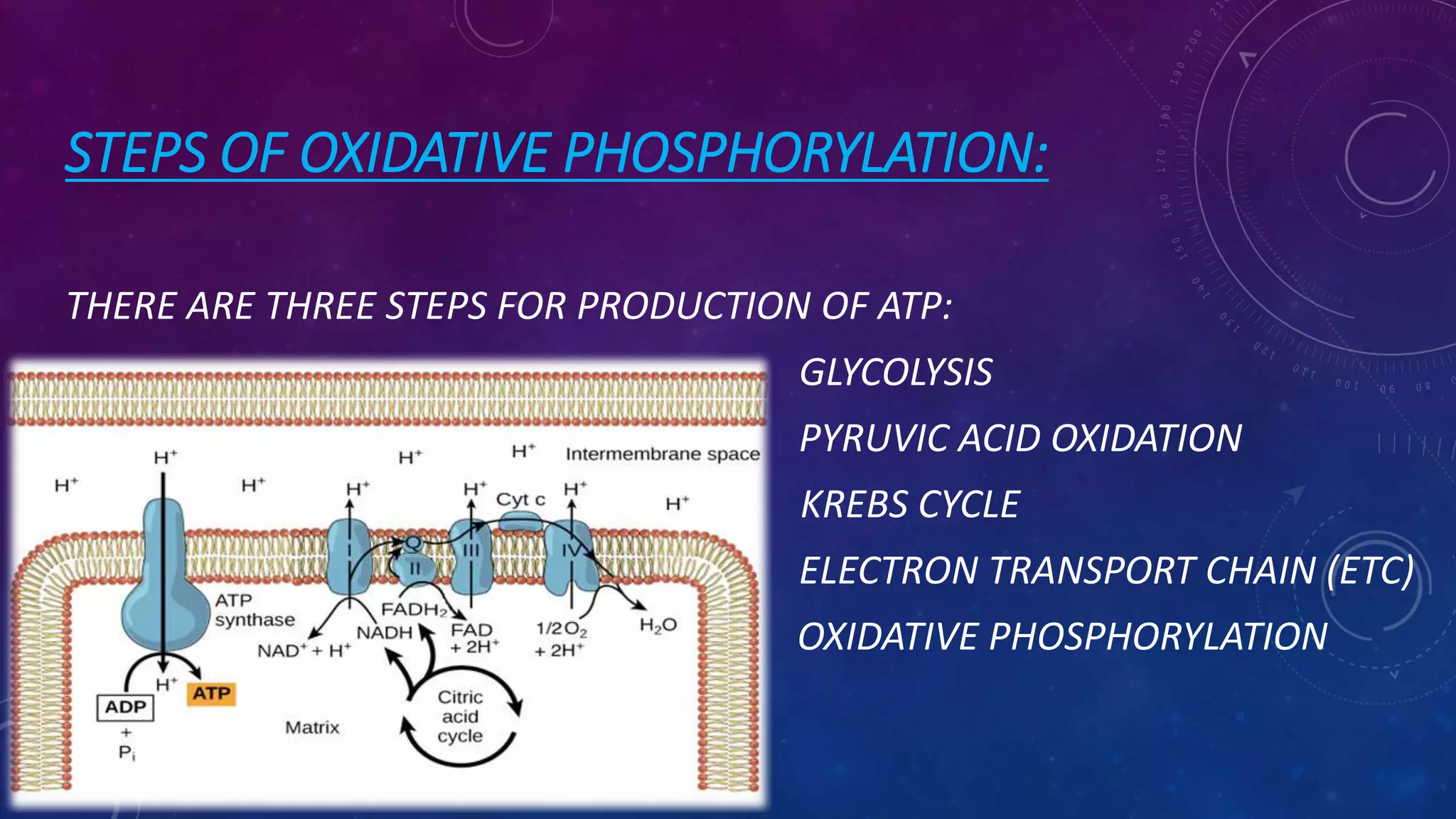 Cellular Respiration Glycolysis, Krebs cycle, Electron Transport | PPTX