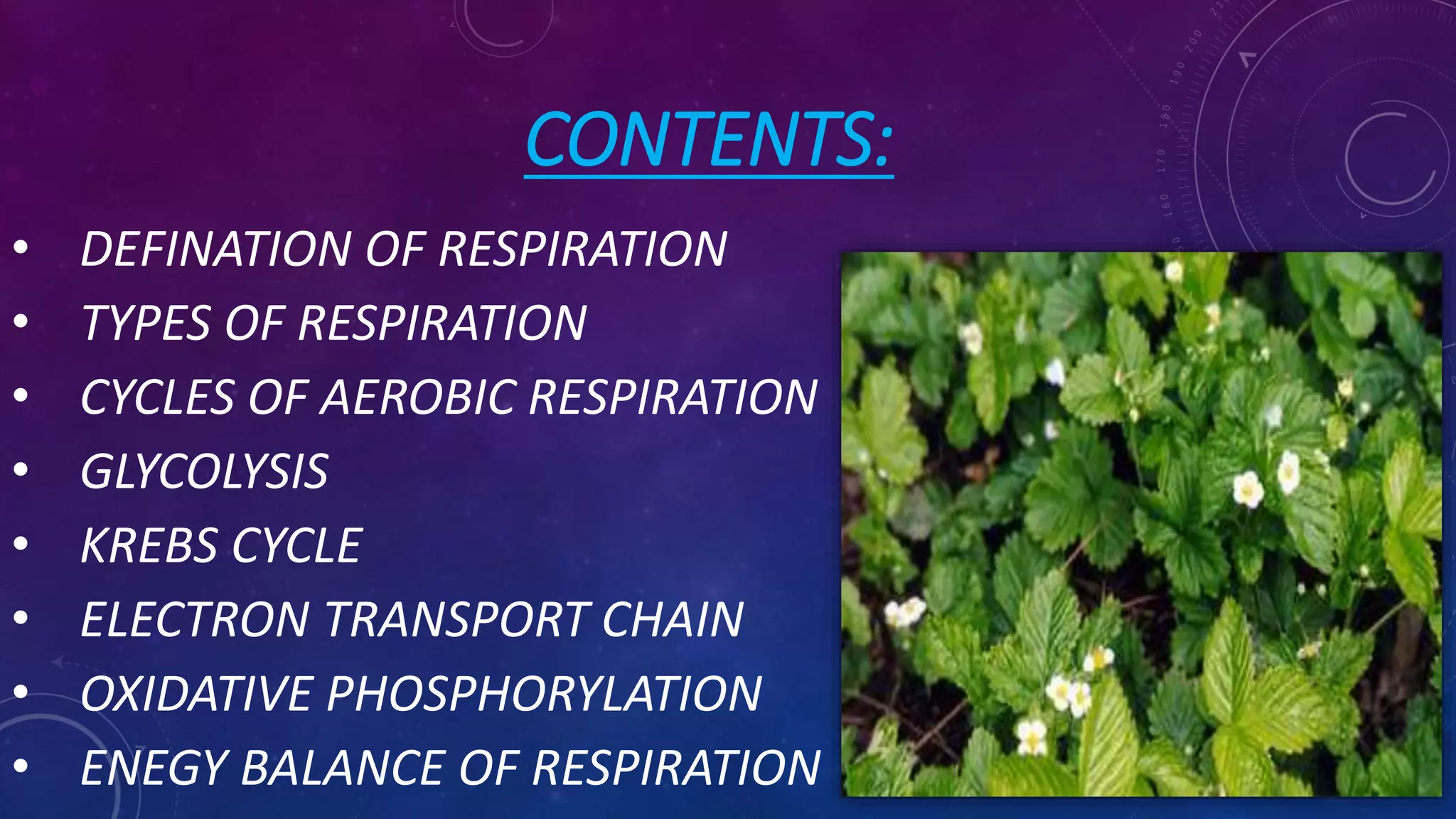Cellular Respiration Glycolysis, Krebs cycle, Electron Transport | PPTX