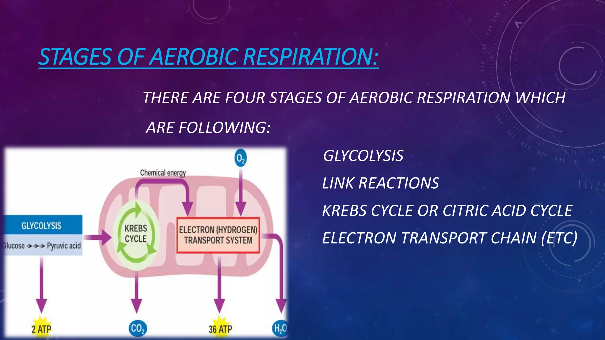 Cellular Respiration Glycolysis, Krebs cycle, Electron Transport | PPTX