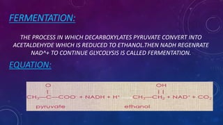 Cellular Respiration Glycolysis, Krebs cycle, Electron Transport | PPTX