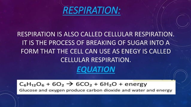 Cellular Respiration Glycolysis, Krebs cycle, Electron Transport | PPTX | Chemistry | Science