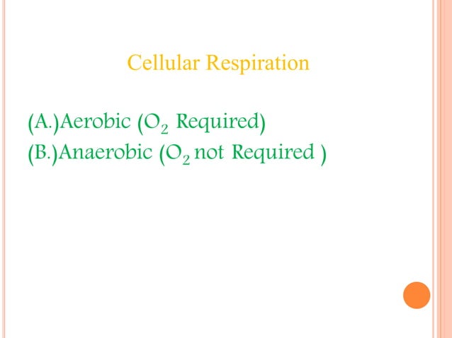 Respiration | PPT | Free Download