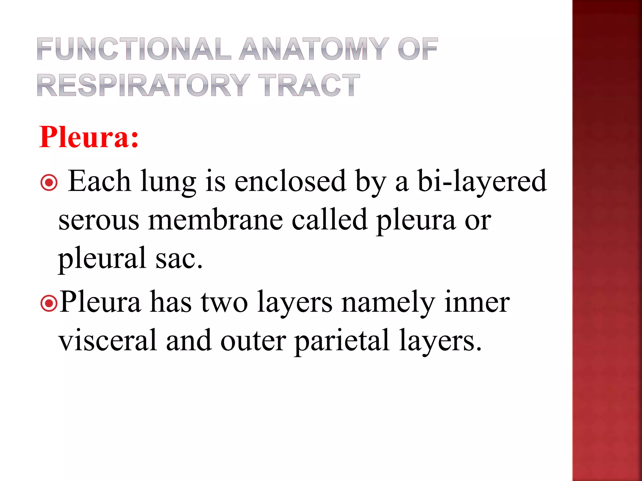 Respiration | PPTX