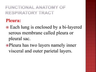 Respiration | PPTX
