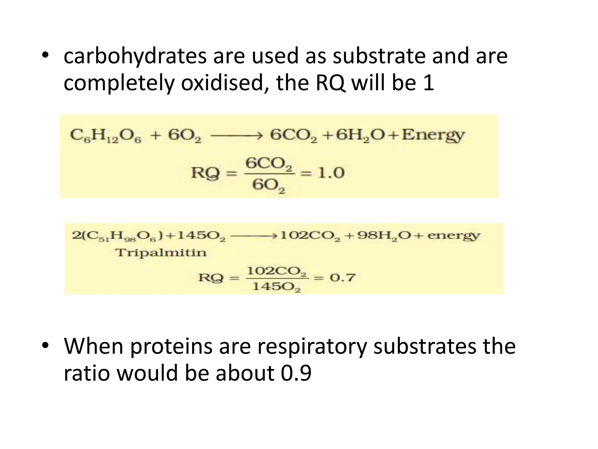 Respiration in Plants | PPTX