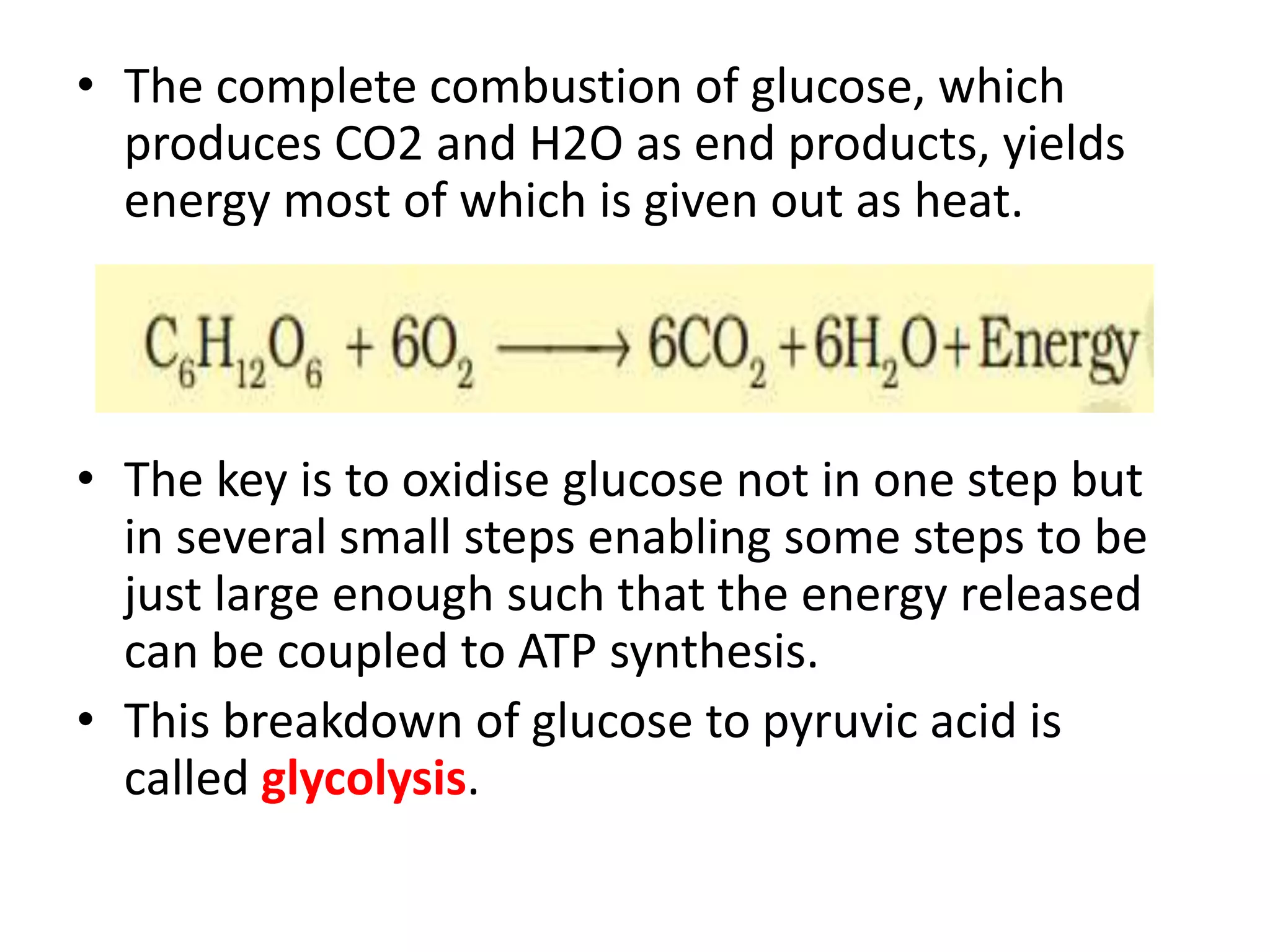 Respiration in Plants | PPTX