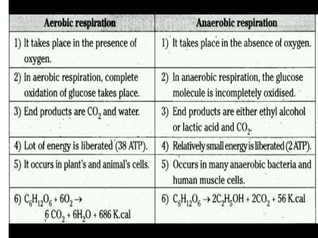 respiration class 10.pptx | Lung and Respiratory Health | Diseases and ...