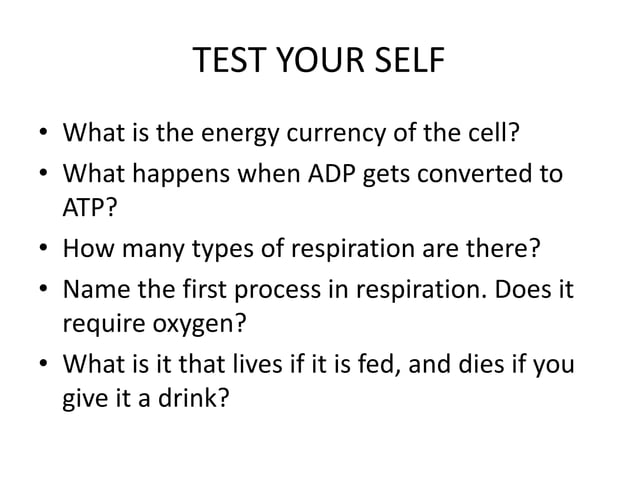 respiration class 10.pptx | Lung and Respiratory Health | Diseases and ...
